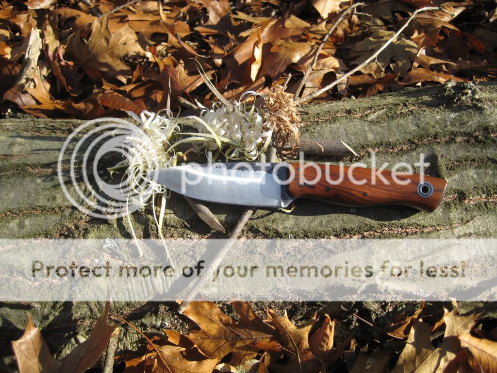 Hogs, what is your go to outdoor knife? Need help picking one! | BladeForums.com