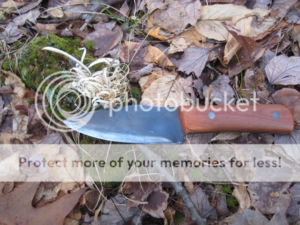 Hogs, what is your go to outdoor knife? Need help picking one! | BladeForums.com