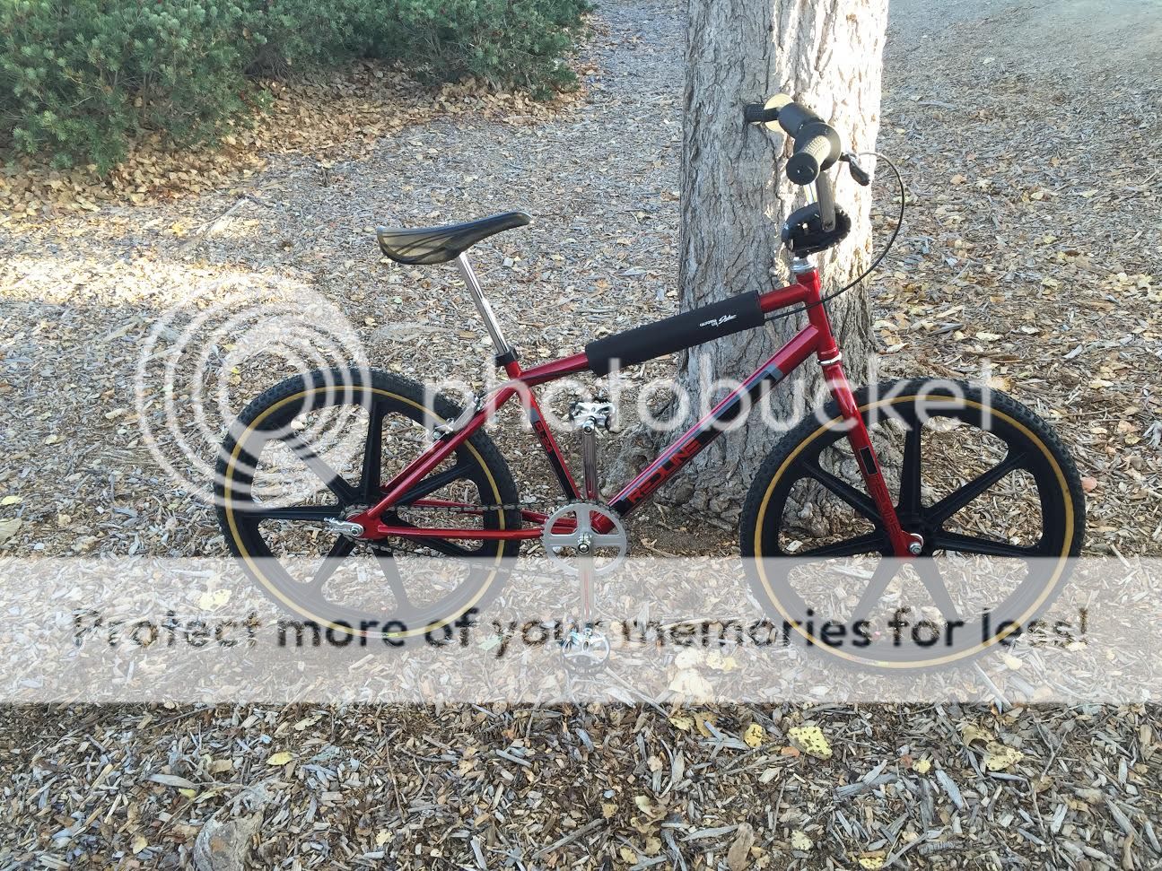 The Official Redline PL24 - BMXmuseum.com Forums