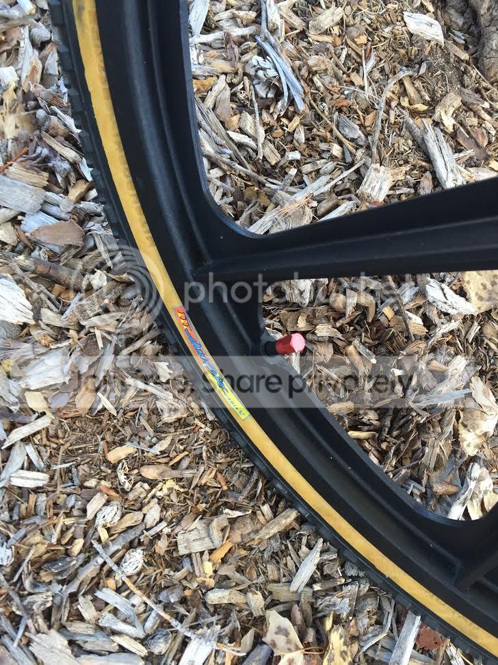 The Official Redline PL24 - BMXmuseum.com Forums