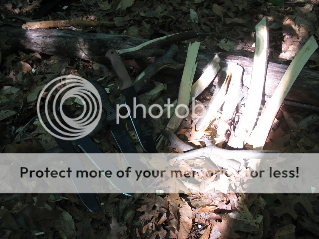 Swamp Rat Ratweiler | BladeForums.com