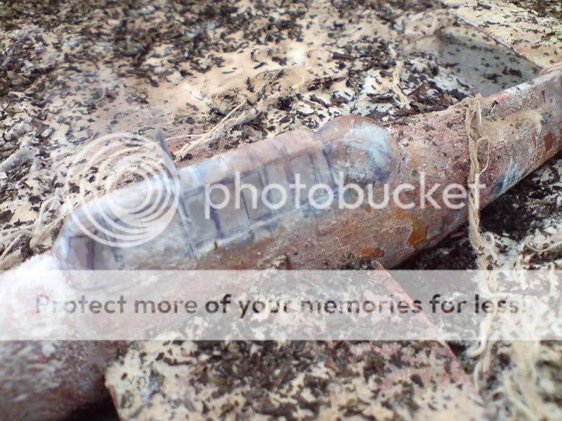 Flight 19 Avenger - In-Progress Pics - ARC Discussion Forums